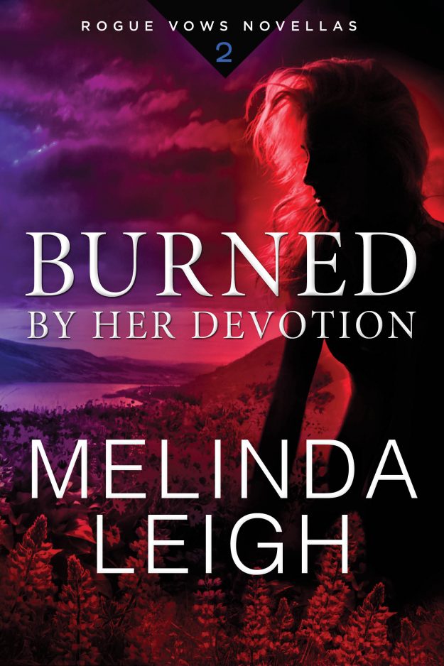 Rogue Vows Novellas SET 3 Archives Melinda Leigh
